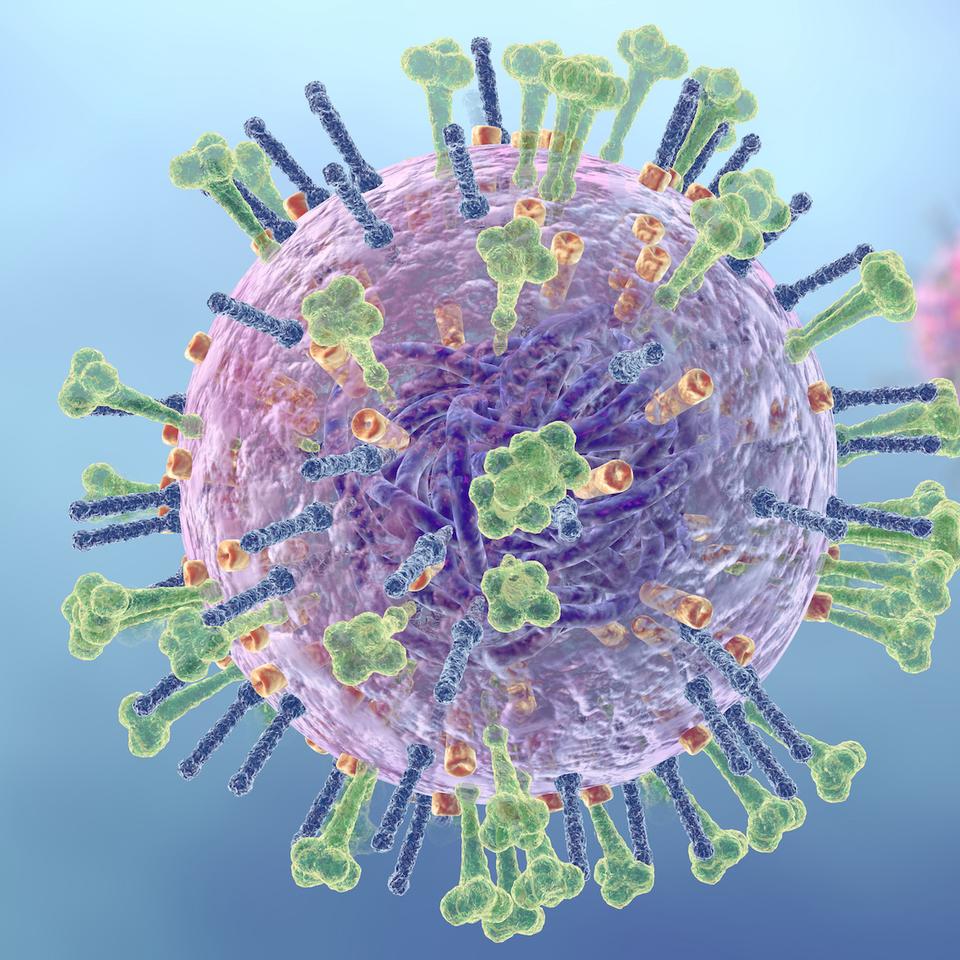 4 choses à savoir sur le virus mutant de la grippe A qui inquiète les ...