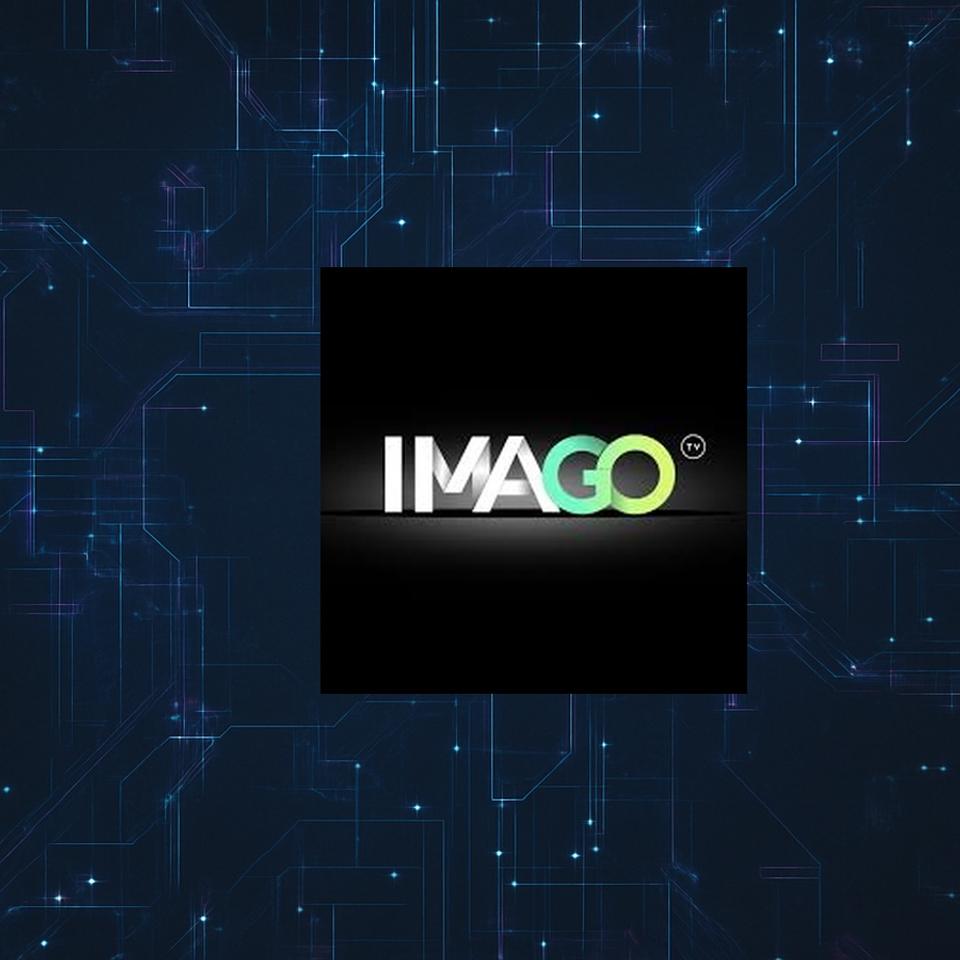 Définition | Imago : qu'est-ce que c'est ? | Futura tech