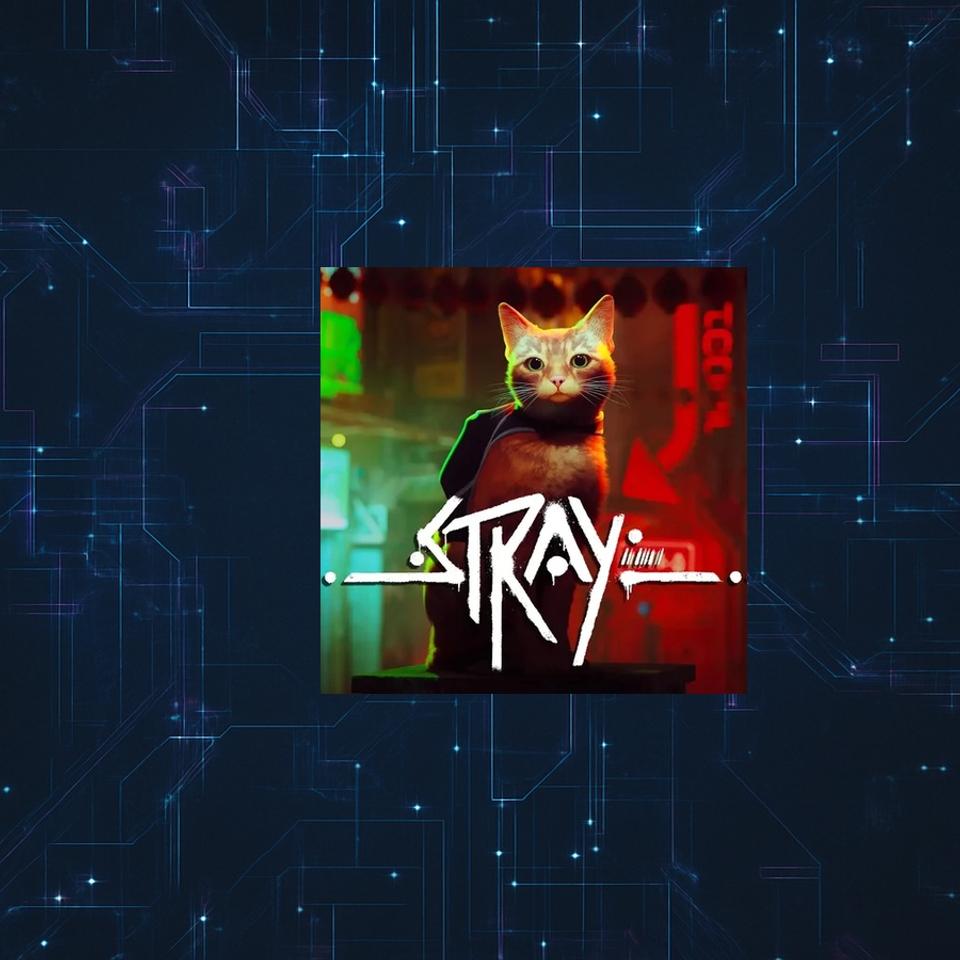 Définition | Stray : qu'est-ce que c'est ? | Futura tech