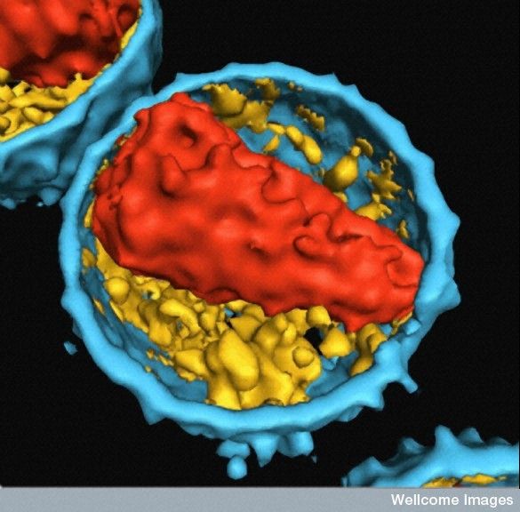 La science en 2014 : quelles avancées attendre