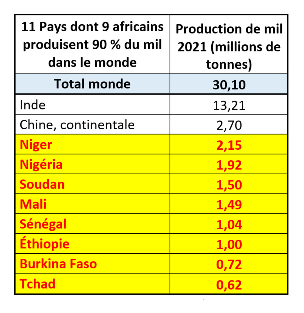 2023 : en plein dans le « mil » pour nourrir l'Afrique
