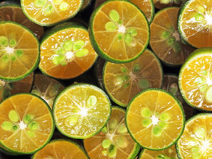 Définition | Calamondin : qu'est-ce que c'est ? | Futura planète