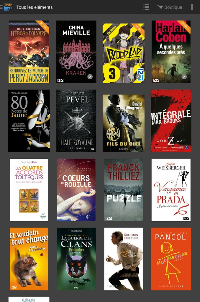 Définition | Amazon Kindle : qu'est-ce que c'est ? | Futura tech