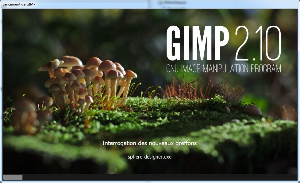 Définition | Gimp : qu'est-ce que c'est ? | Futura tech